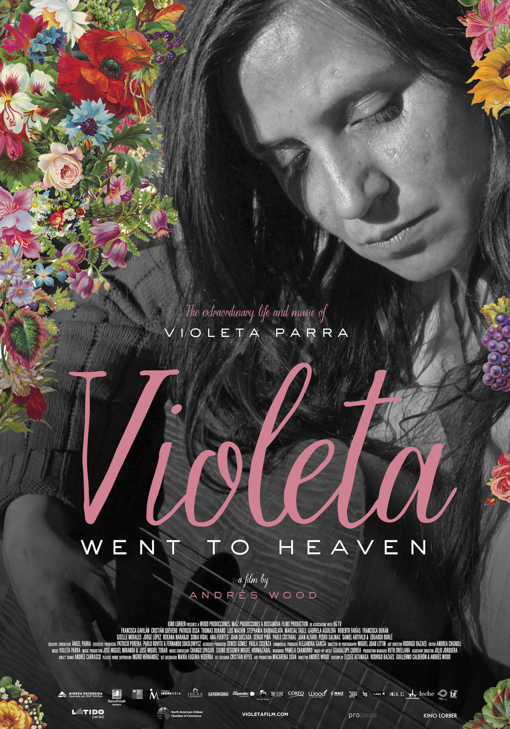 Film: Violeta Went to Heaven (Chile)